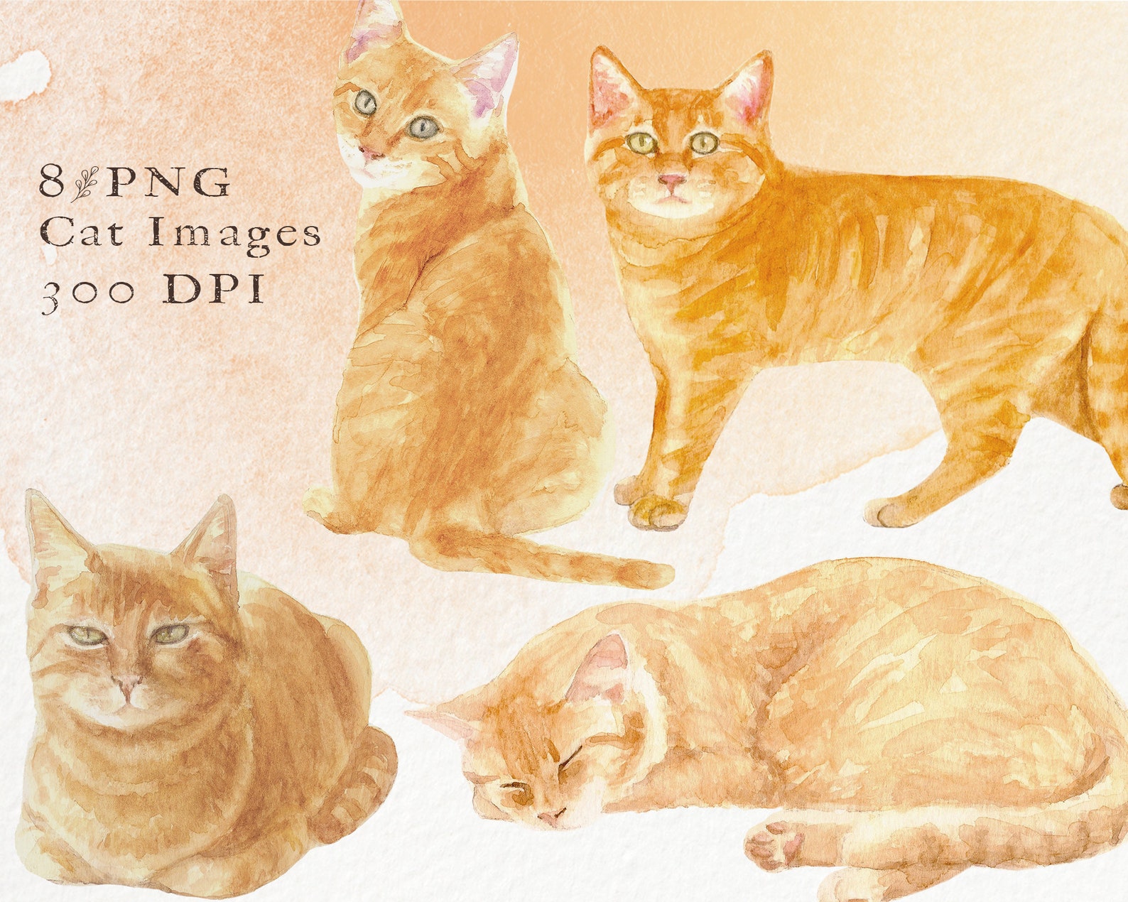 Orange Cats Hand-painted Watercolor Clipart PNG Digital Download - Etsy