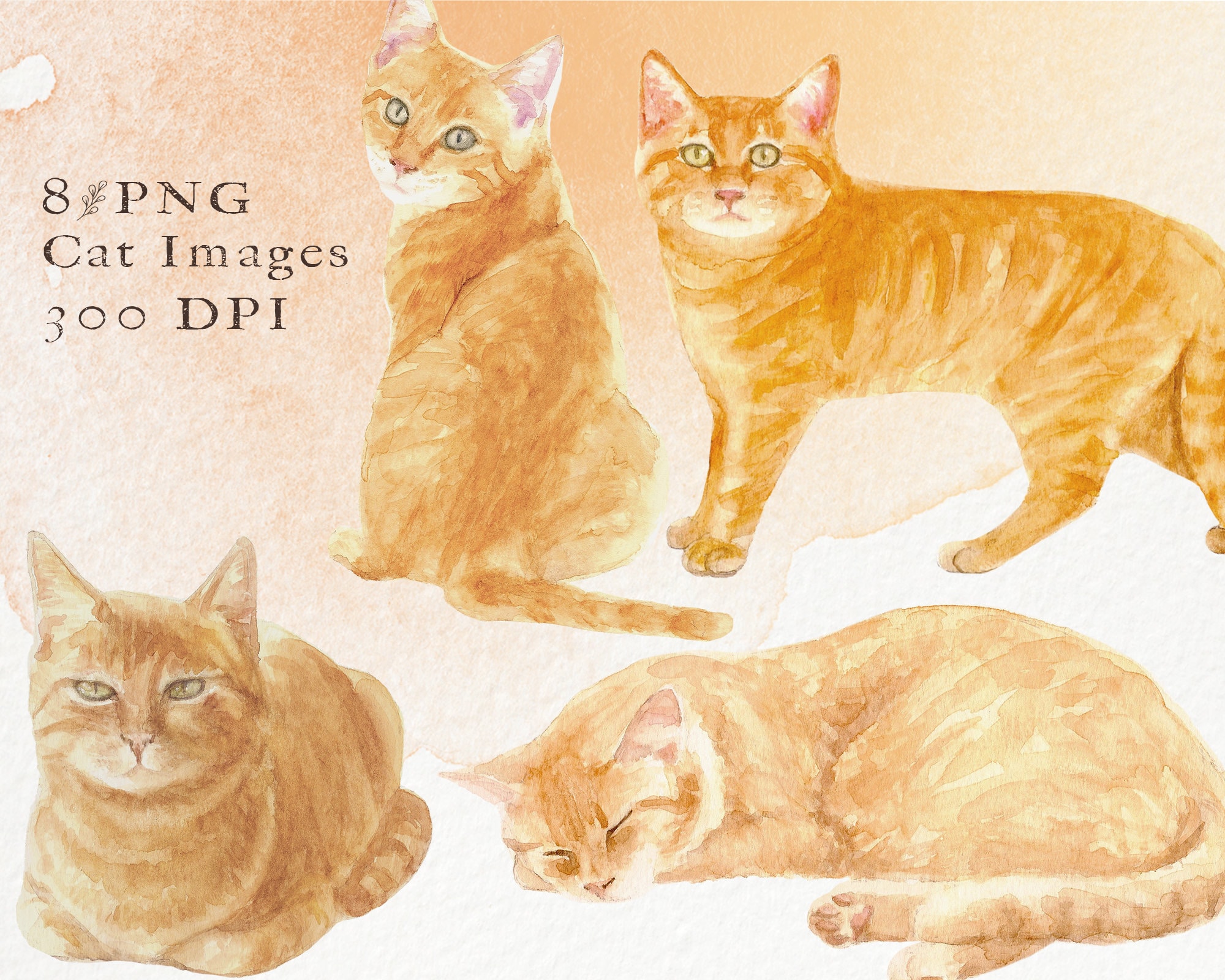 Orange Cats Hand-painted Watercolor Clipart PNG Digital Download - Etsy