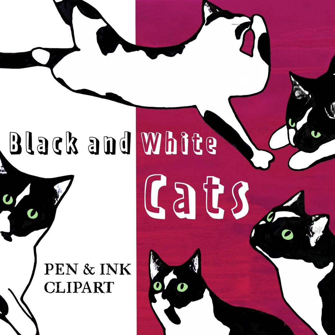 Black and White Cats Pen and Ink Clipart Digital Download - Etsy