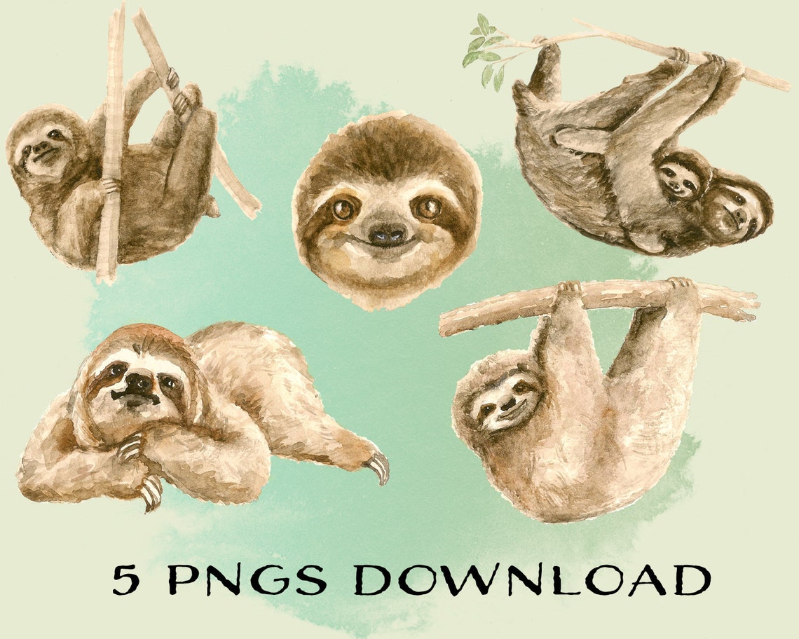 Sloths Watercolor Clipart Digital Download PNG | Etsy