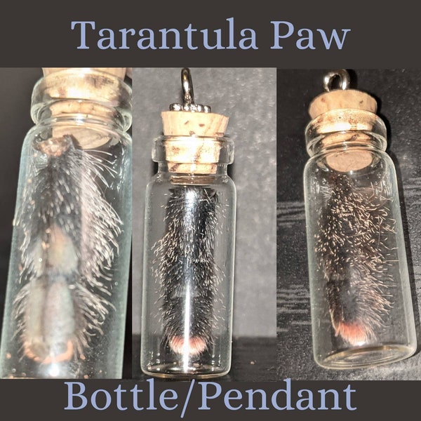 Tarantula - Etsy