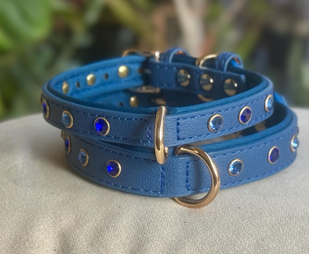 Royal Blue Bedazzled Dog Collar / Gold Star, Blue Rhinestone Rivets ...