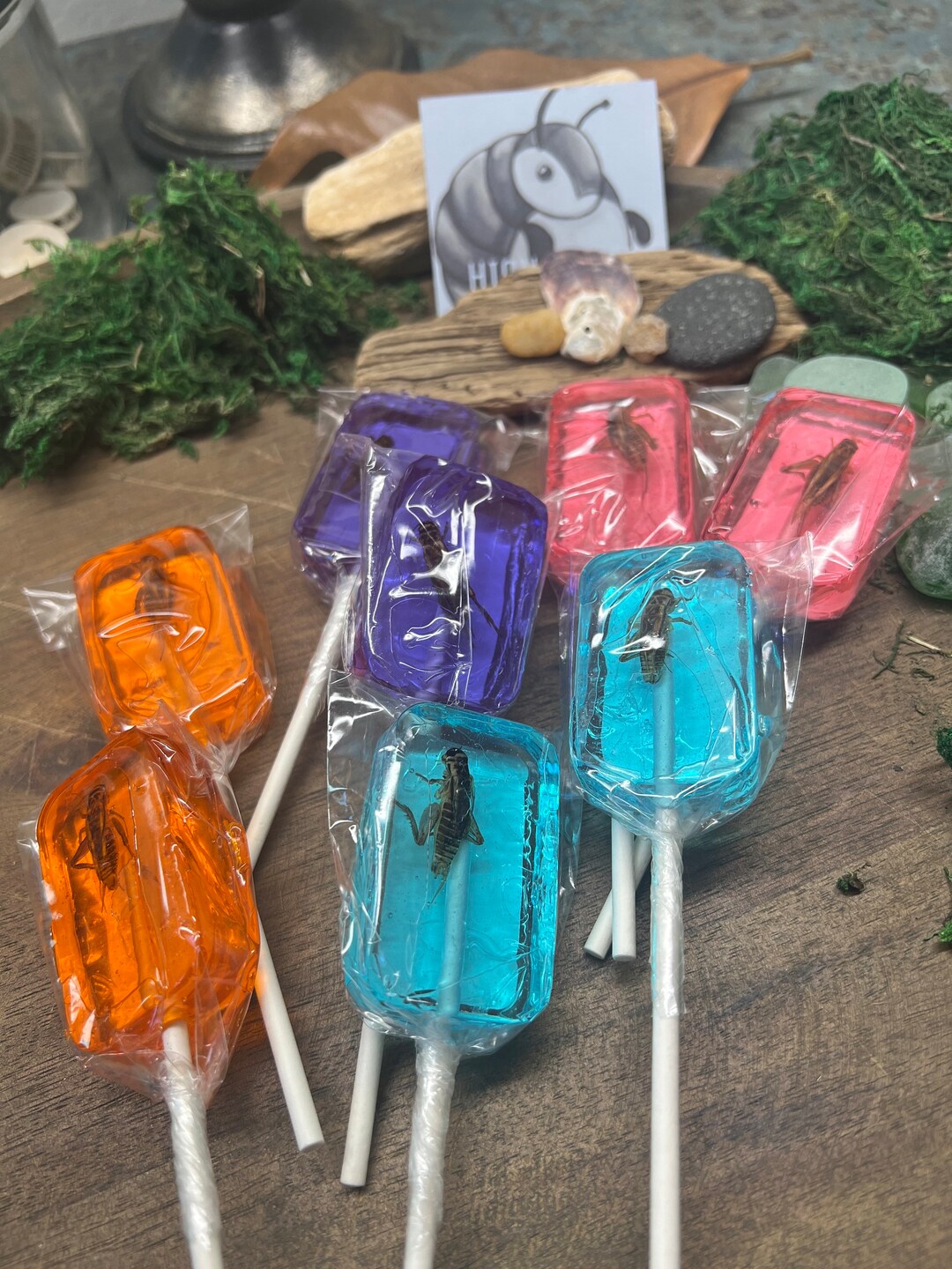 Party Favor Party Edible Cricket Suckers Lot of 8 Real Edible Insects ...