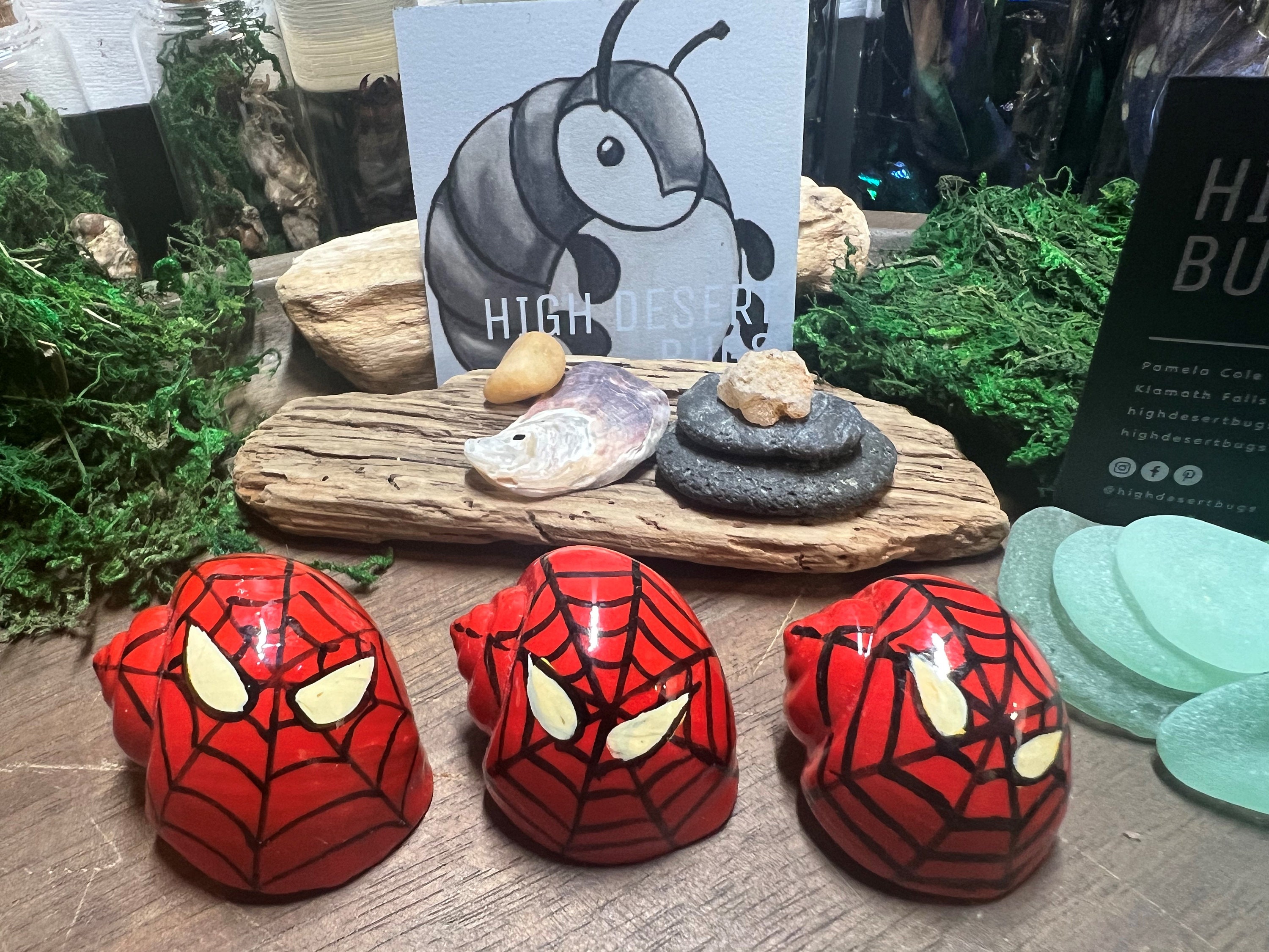 Hermit Crab Shell Designs
