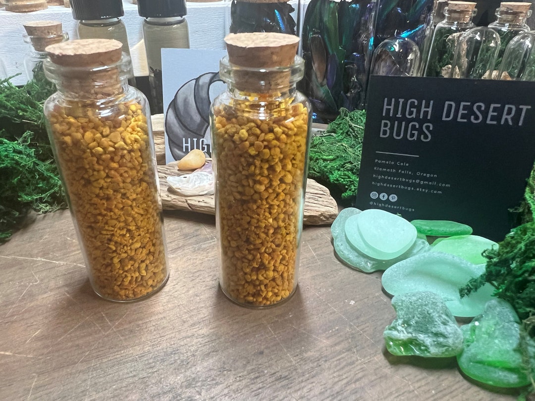 Real Bee Pollen Specimen: Curio Cabinet Vial - Etsy