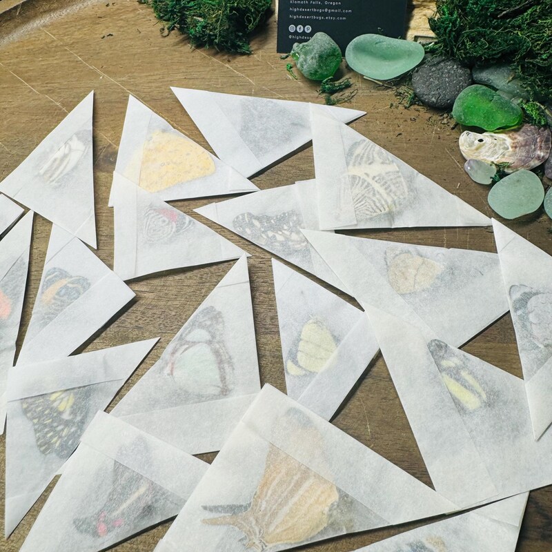 Peruvian Butterflies - Etsy