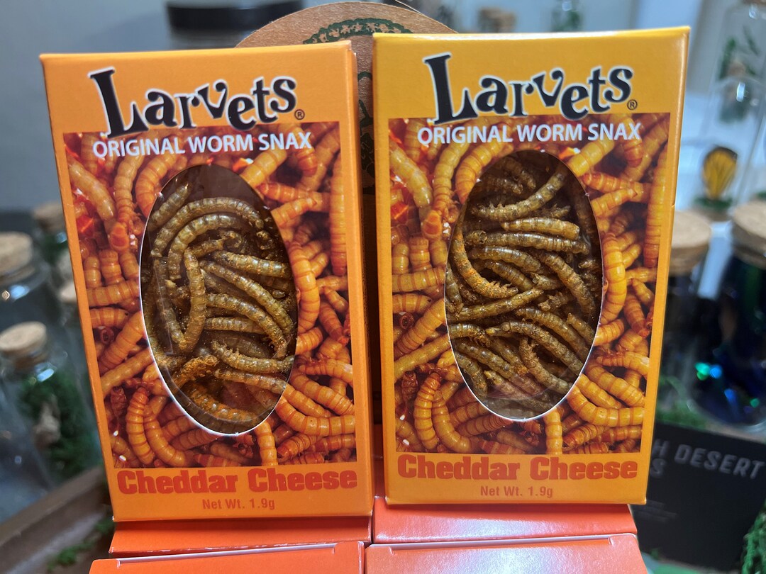 Edible Insect Snacks for Humans Larvets Original Worm Snax - Etsy