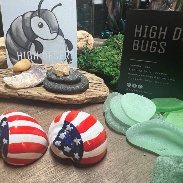 Painted Crab Shell - Etsy