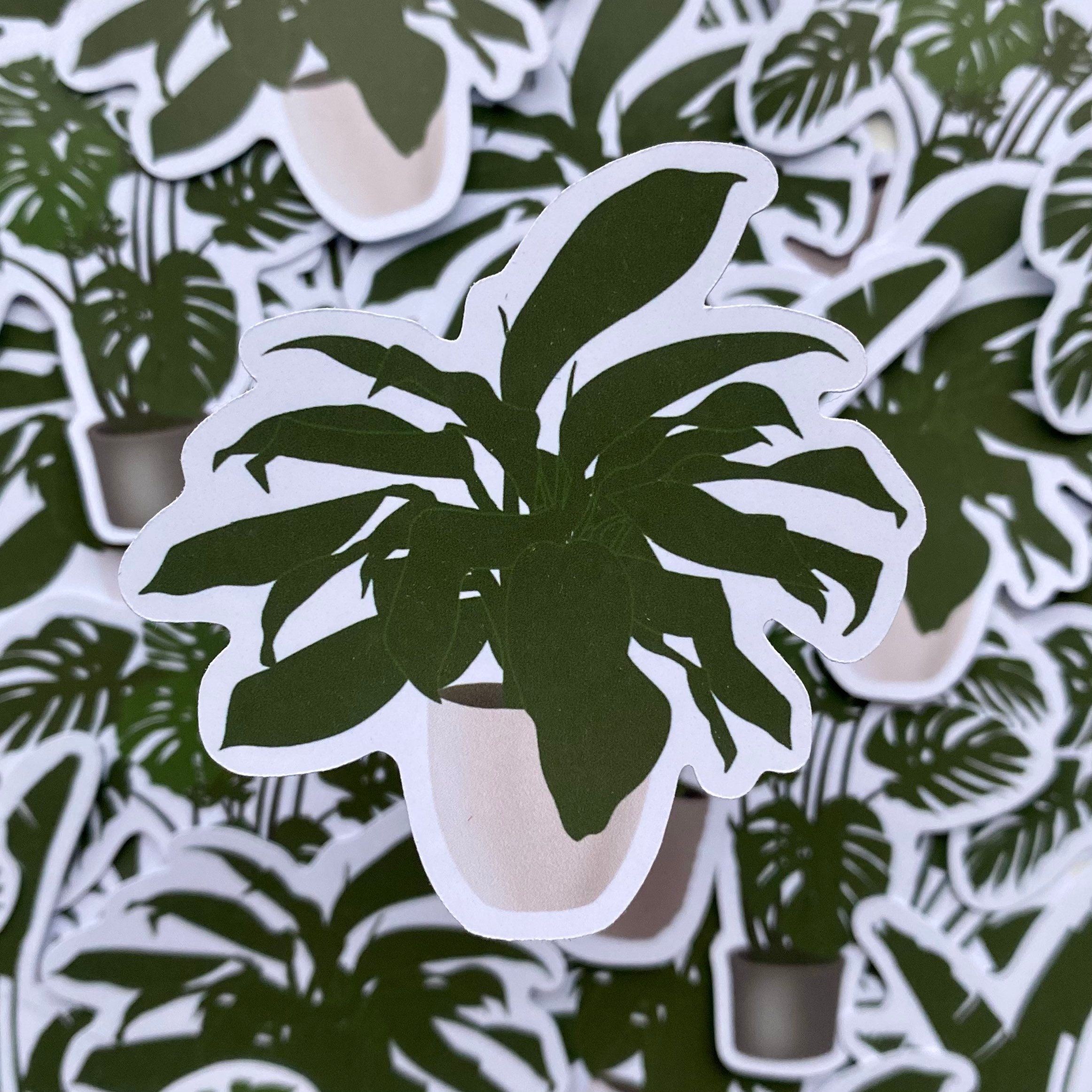 Houseplant sticker set of 3 - Etsy Nederland