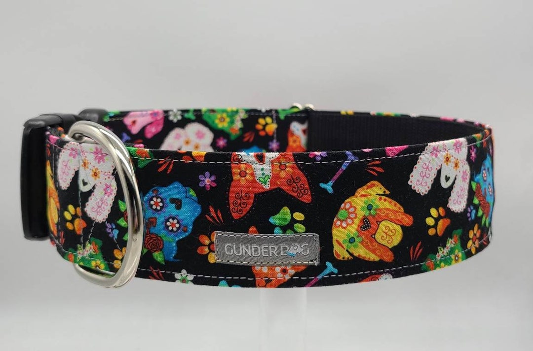 Buckle, Dog Collar, Great Dane, Labrador, Labradoodle, Boxer, Shepherd ...
