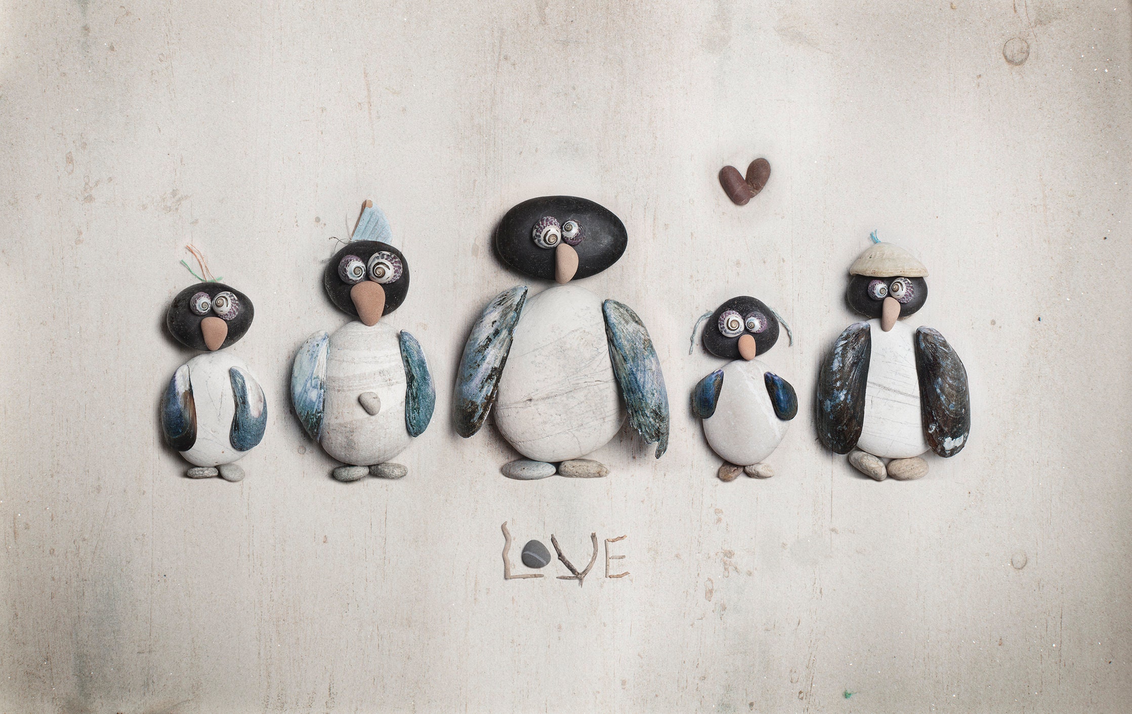 Penguin Photo Print Penguin Pebble Art Penguin Photography - Etsy UK