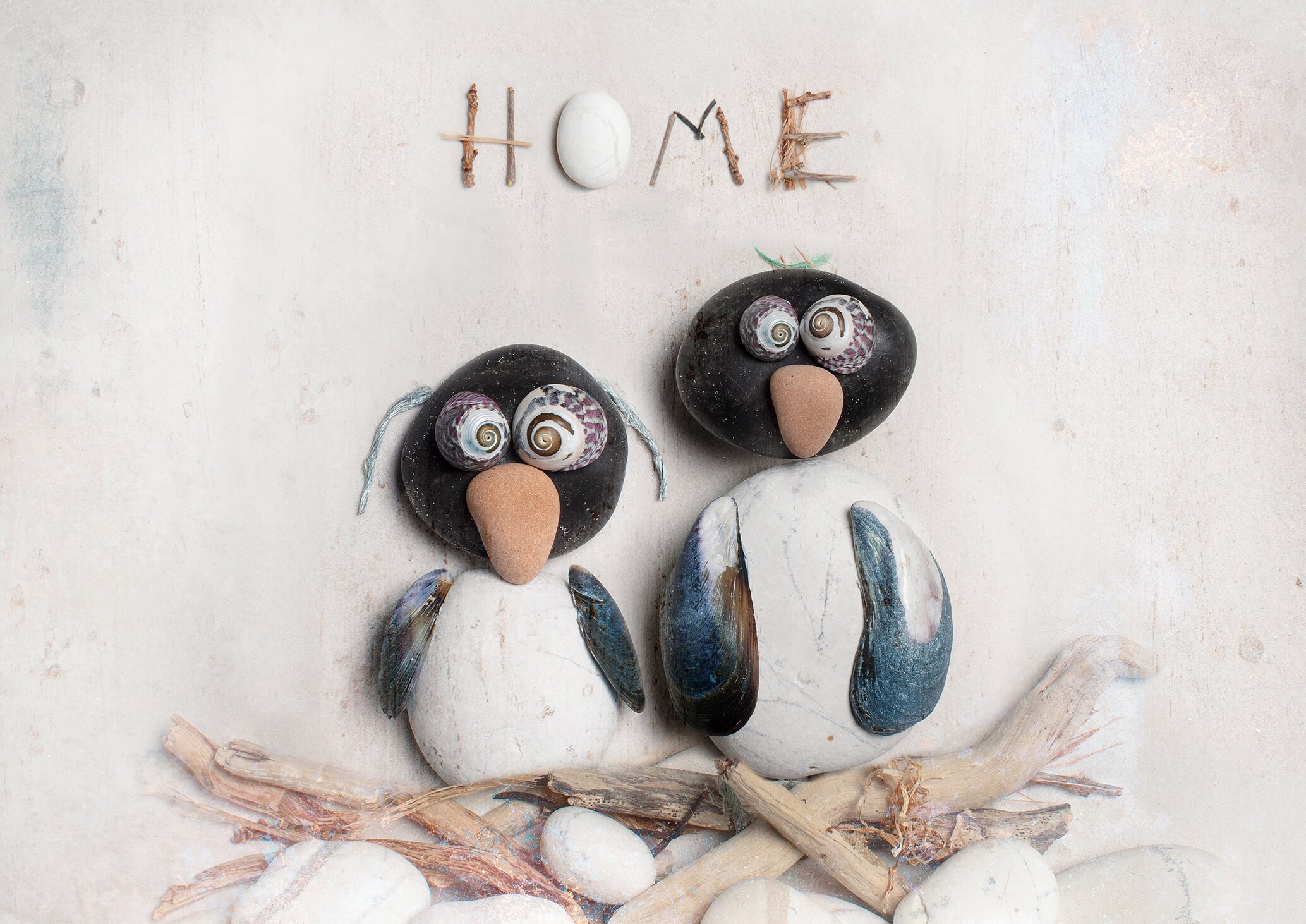 Penguin Photo Print Pebble Penguin Unframed Penguin Pebble | Etsy