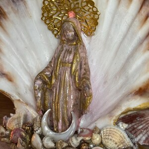 Our Lady Shell Grotto Shrine/natural Scalloped Shell With Gold Scrolls ...