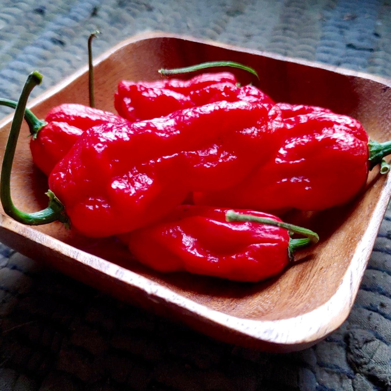 Ghost Chili Pepper Seeds