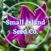 Nine Star Perennial Cauliflower/broccoli Seeds - Brassica Oleraceae ...