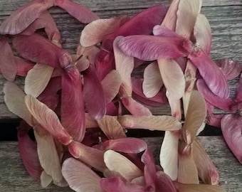 pink helicopter tree