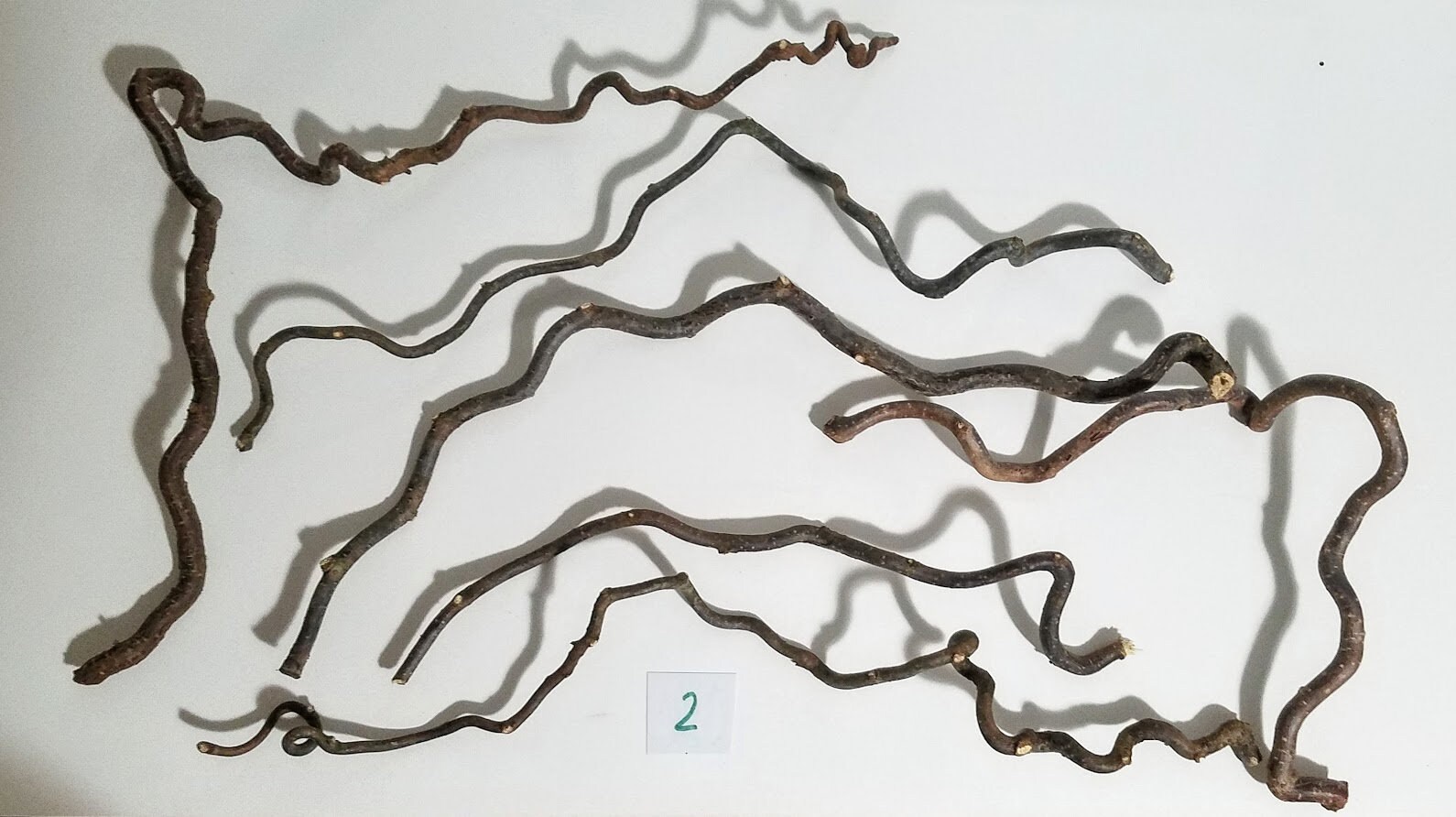 Medium Twisted Sticks Stick Bundles Decor and Crafts | Etsy