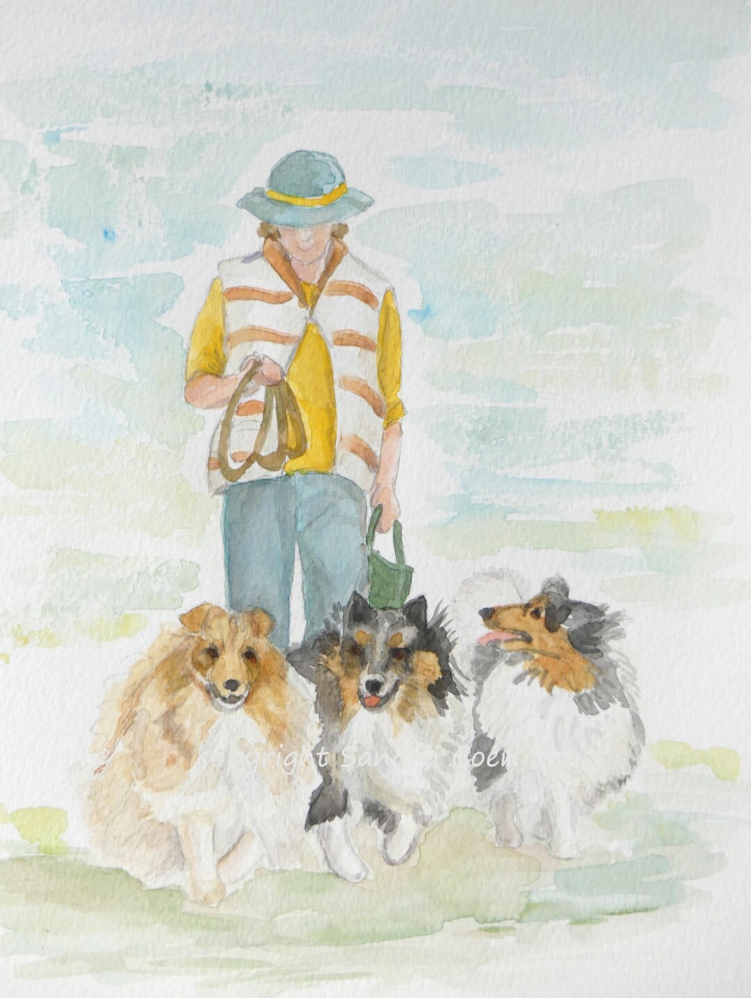 SHETLAND SHEEPDOG SHELTIE Original Watercolour Painting Walking the Dog ...