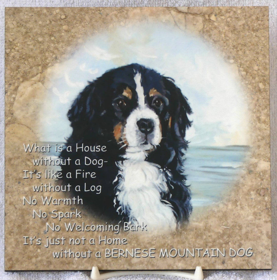 BERNESE MOUNTAIN DOG Striking Design Printed Onto Plaque Tile. - Etsy