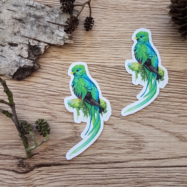 Quetzal - Etsy