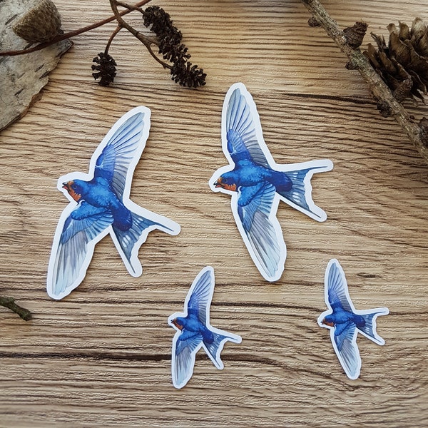 Barn Swallow - Etsy UK