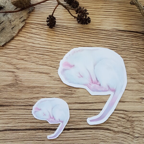 Baby Rat - Etsy