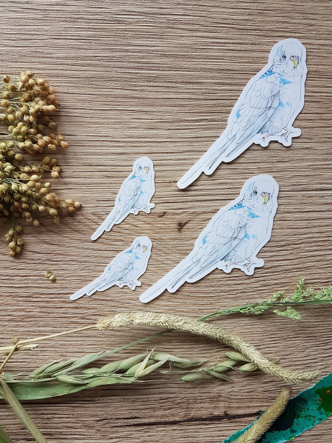 Budgie White Stickers Budgie Bullet Journal Stickers Etsy
