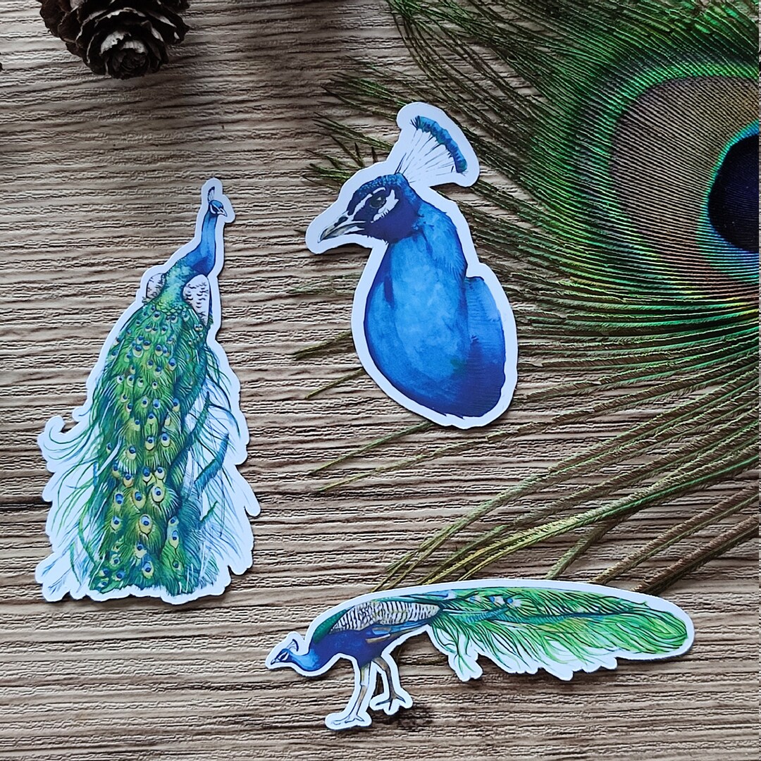 Peacock Sticker Set Bullet Journal Stickers Planner - Etsy