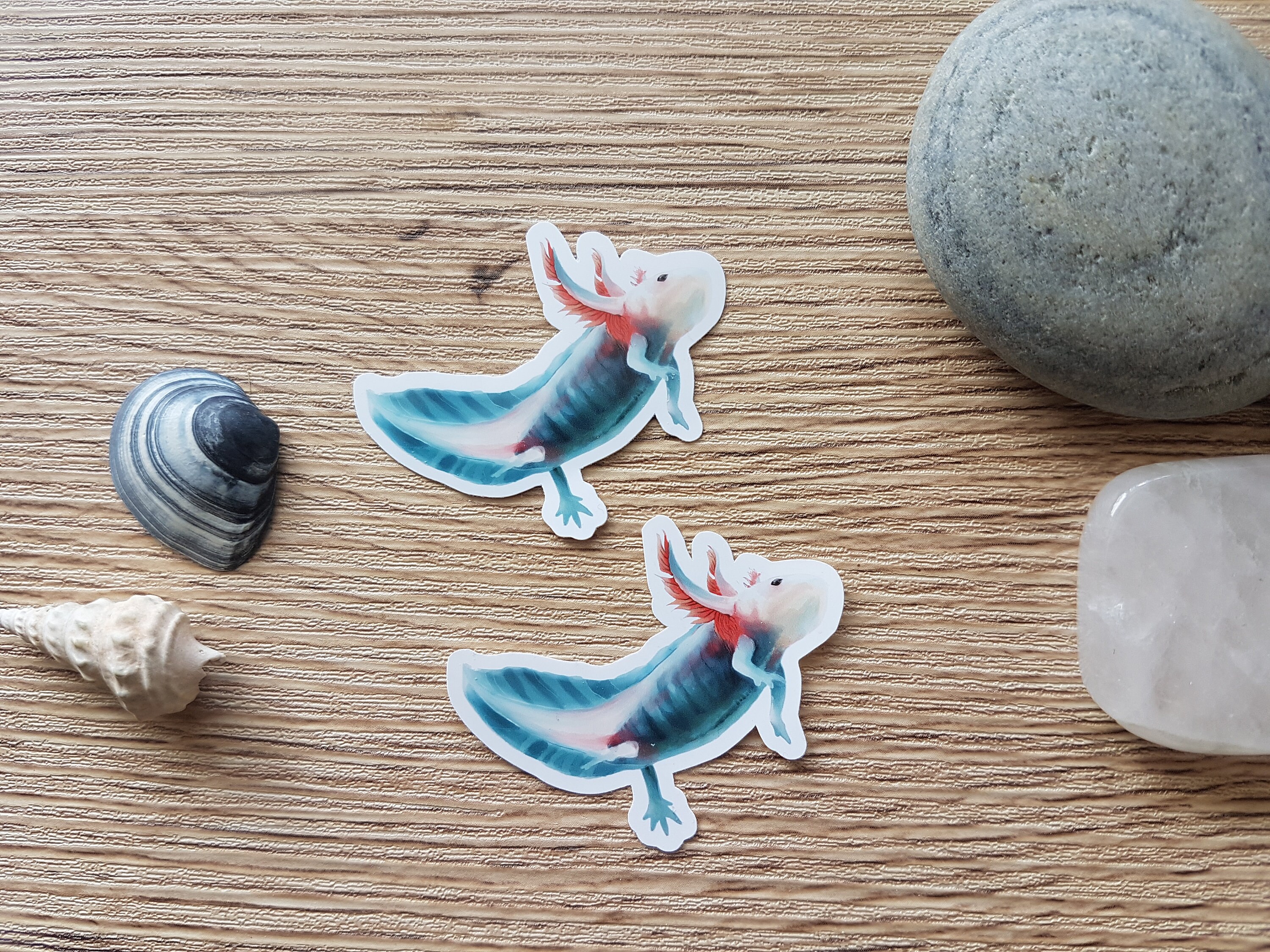 Axolotl Bullet Journal Stickers Planner Stickers Scrapbook - Etsy España