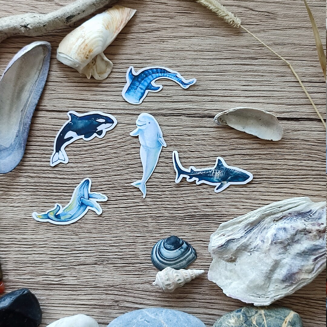 Whale and Shark Sticker, Set, Bullet Journal Stickers, Planner Stickers ...