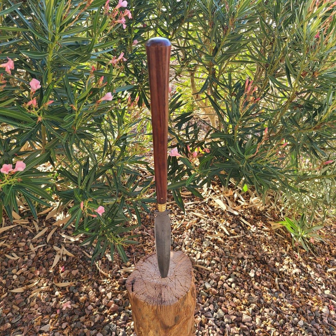 Real Life Wedge Examples