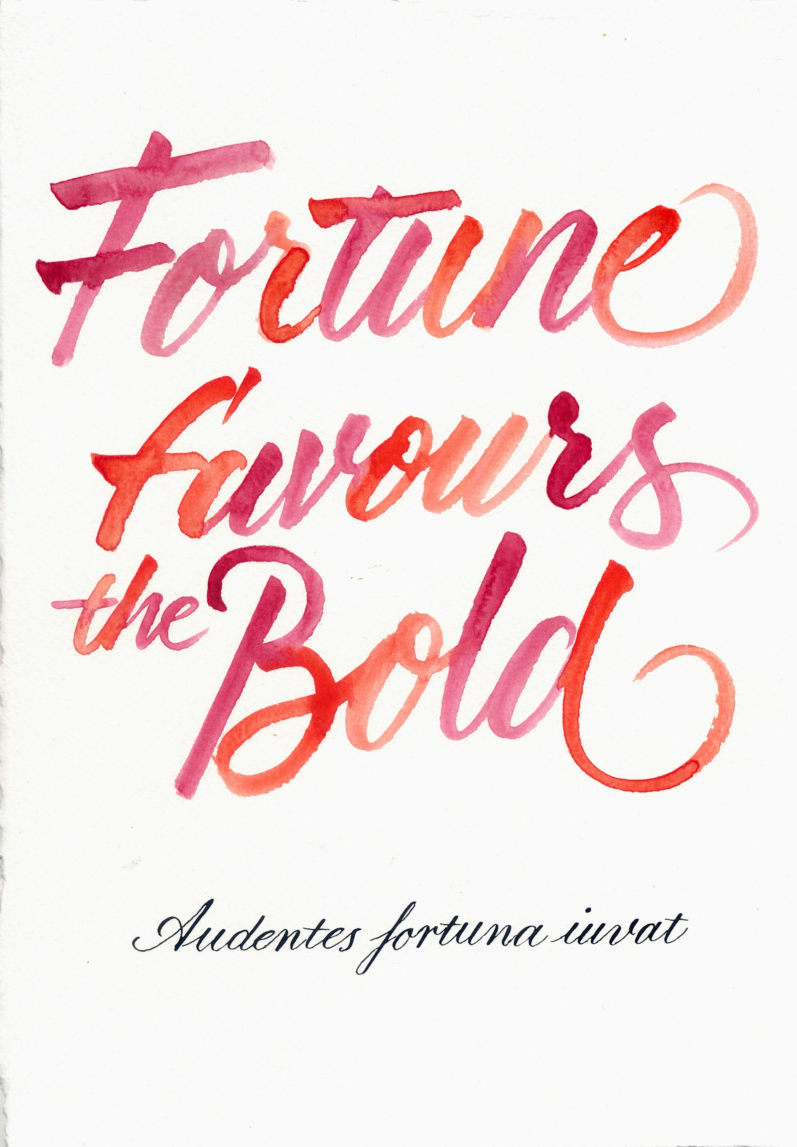 Fortune Favours the Bold, Audentes Fortuna Iuvat, Calligraphy for Wall ...