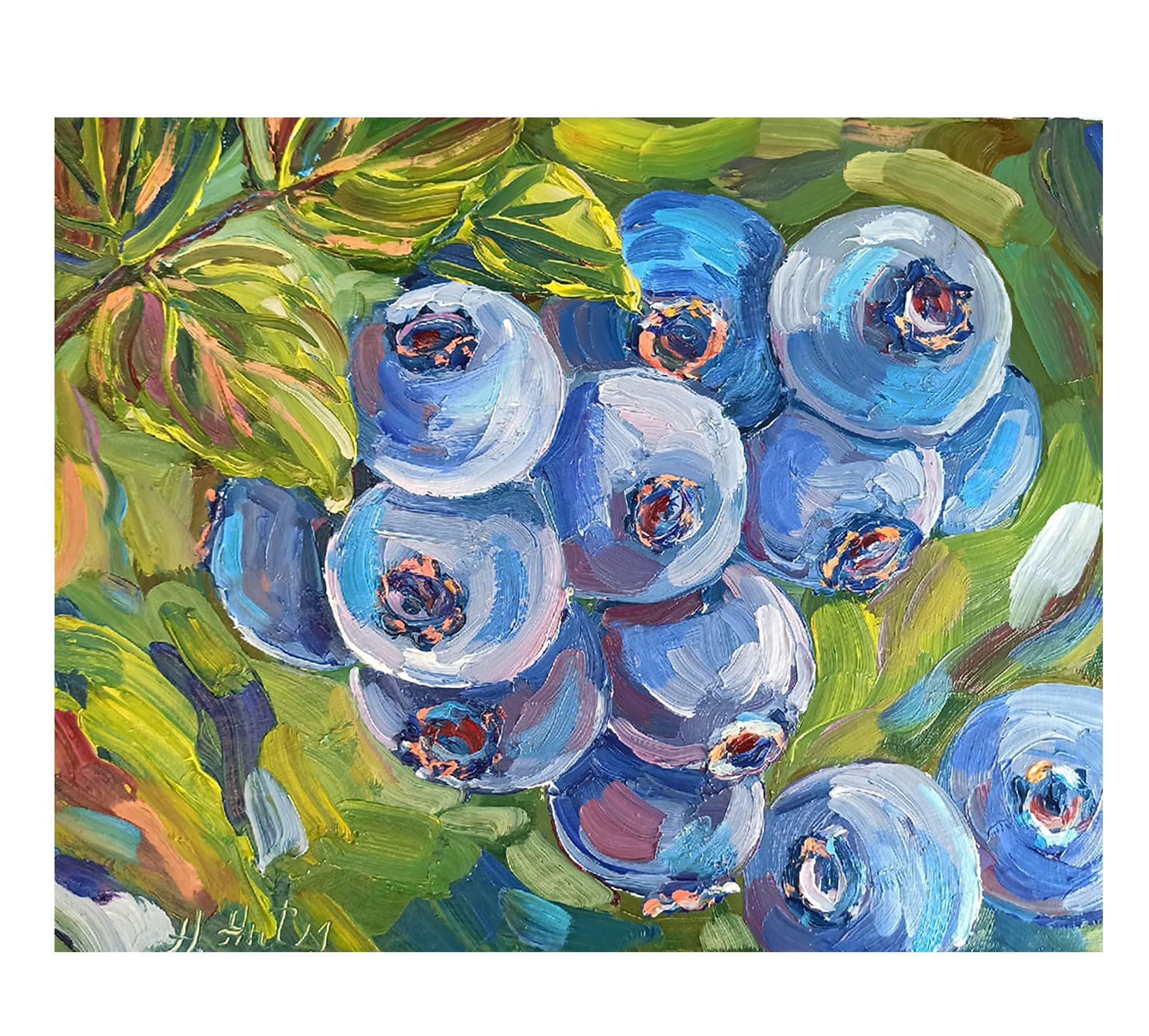 Blueberries Paintings