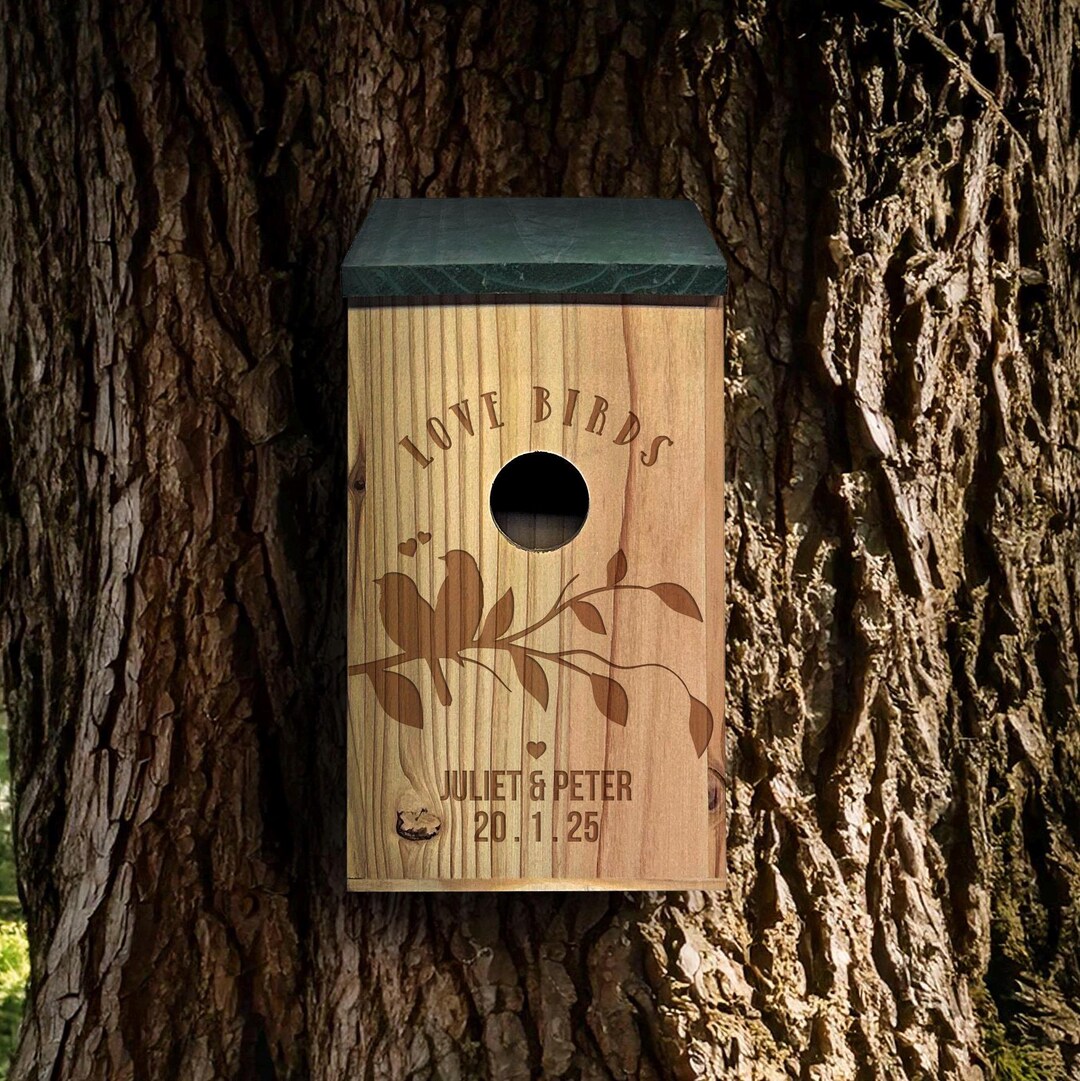 Love Birds Bird Box - Etsy