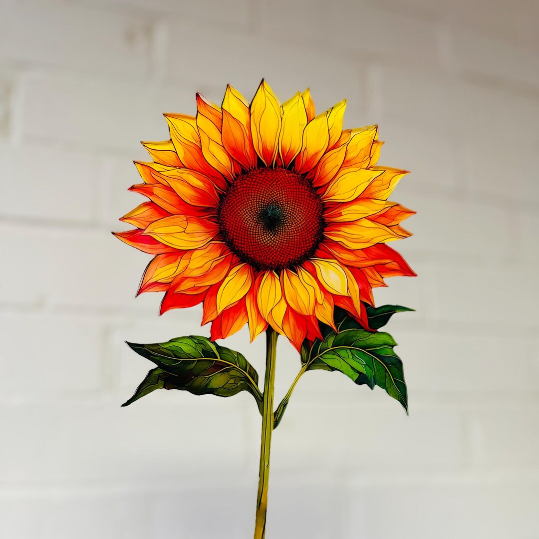 Everlasting Sunflower - Etsy UK