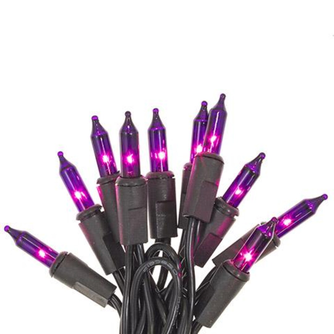 Darice Halloween String Lights Set Purple Bulbs 35 Lights Black Wire - Etsy