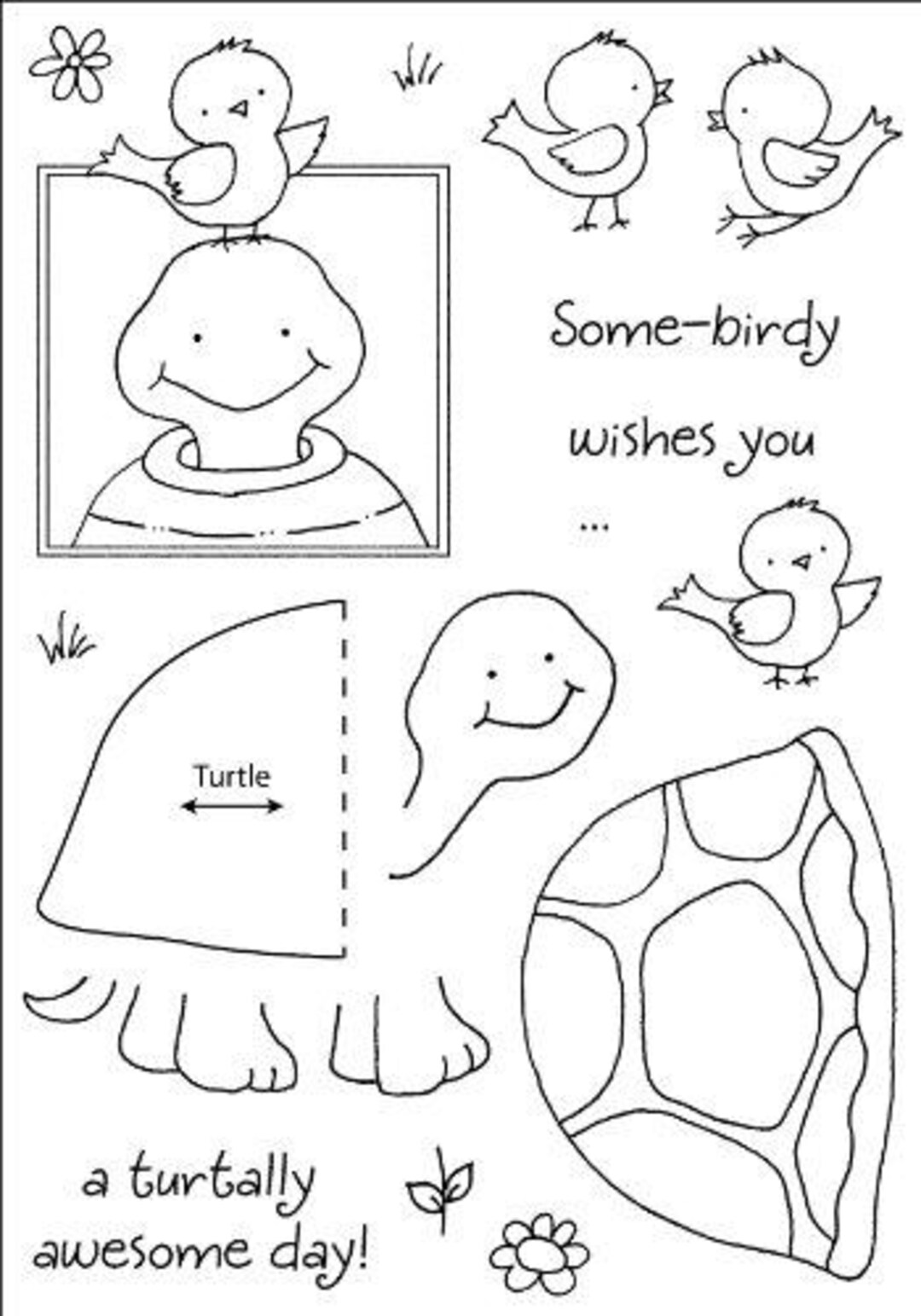 Stampers Anonymous Honeypop Clear Stamp Set, 4 by 5.25-inch, Turtle - Etsy