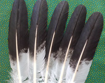 Native American Wing Fan - Etsy