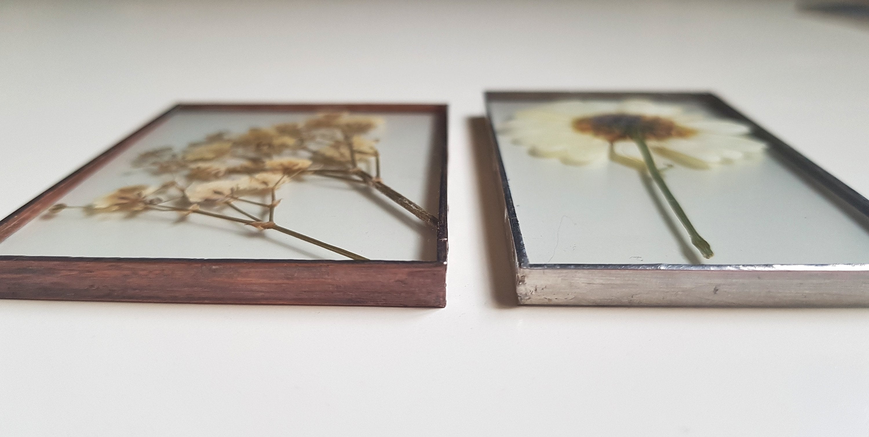 Forget Me Not Pressed Flower Frame Handmade Botanical - Etsy UK