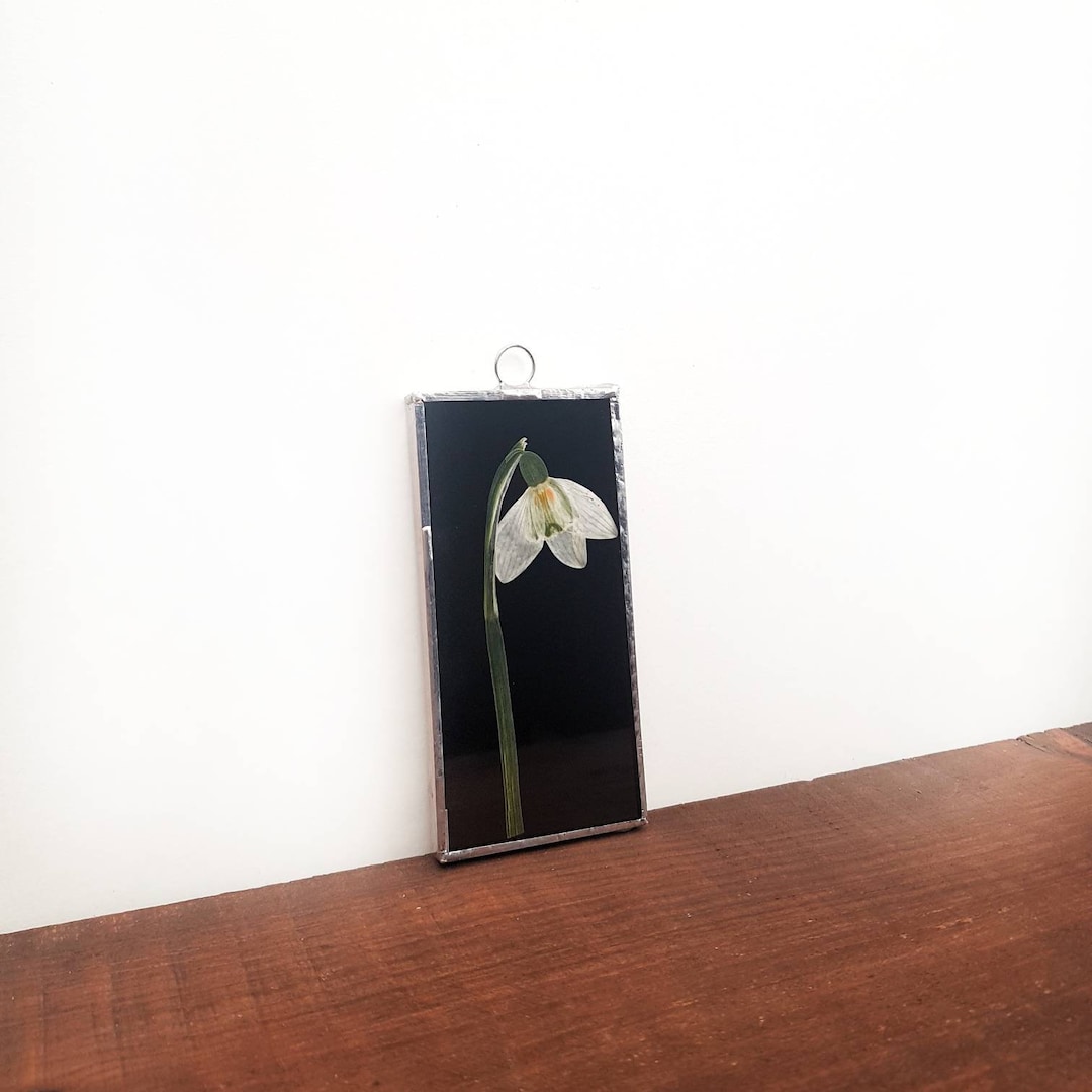 Snowdrop Pressed Flower Frame, Dried January Birth Flower Gift Idea ...