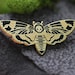 Death's-head Hawkmoth Enamel Pin: Gold Plated Moth Lapel Pin - Etsy