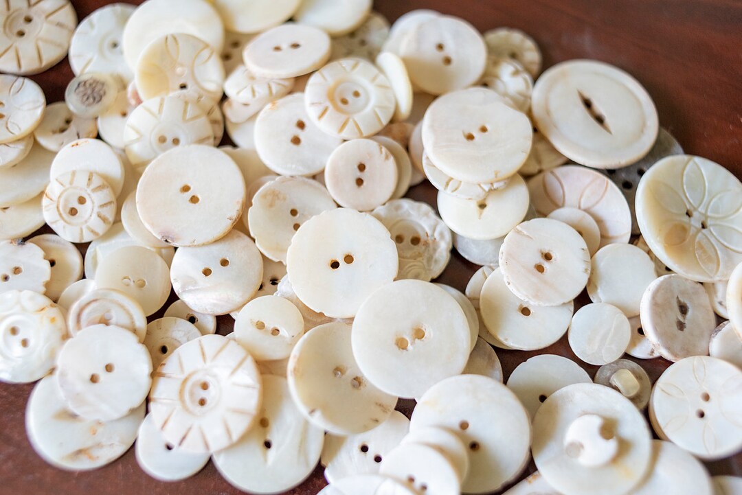 Vintage Carved Shell Buttons: Large Assorted Sewing Lot - Etsy