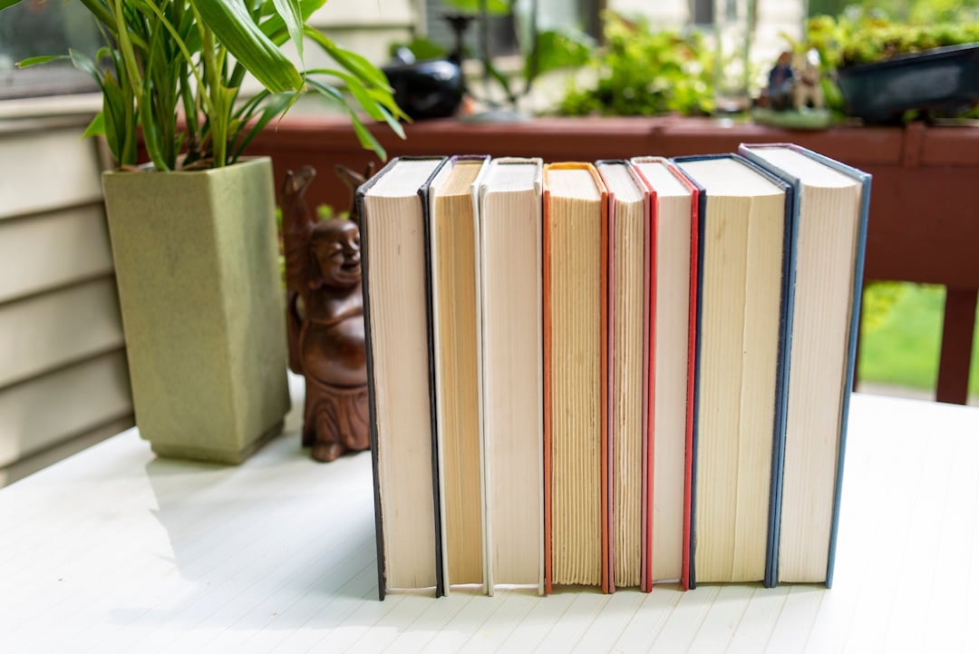 Secret Storage/hollowed Out Books for Secret Storage /backward Book Set ...