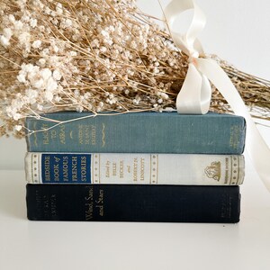 Stack of Vintage Blue Books | Staging Books | Decorative Blue Book ...