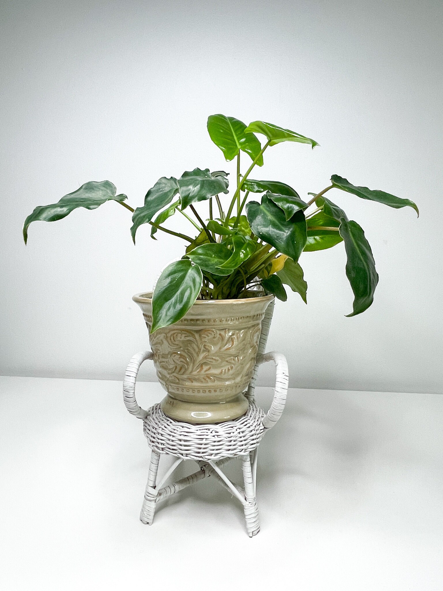 Vintage White Wicker Chair Planter Vintage Wicker Planter Indoor Plant ...