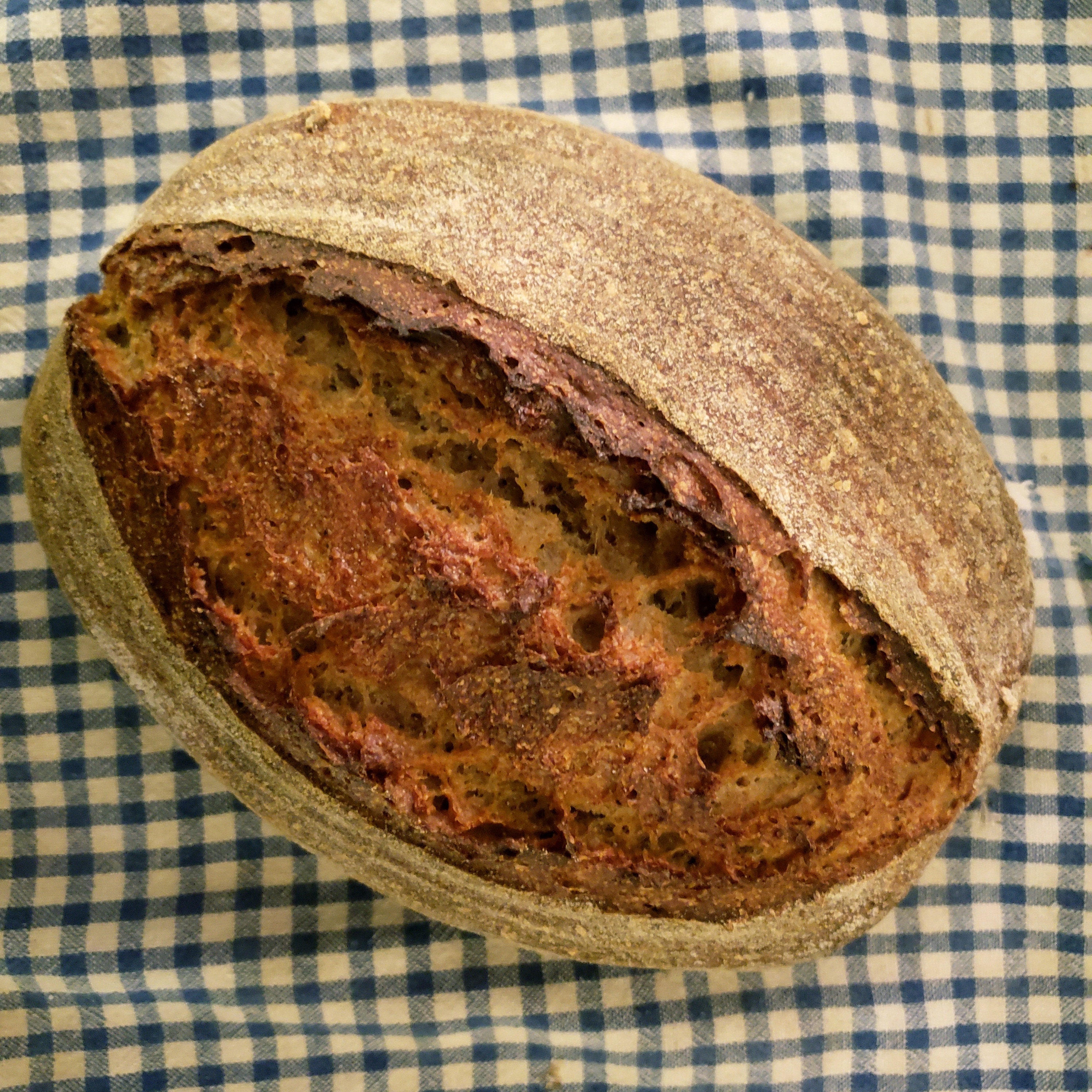 Dark Rye Sourdough Starter Yeast; Family Heirloom - Etsy