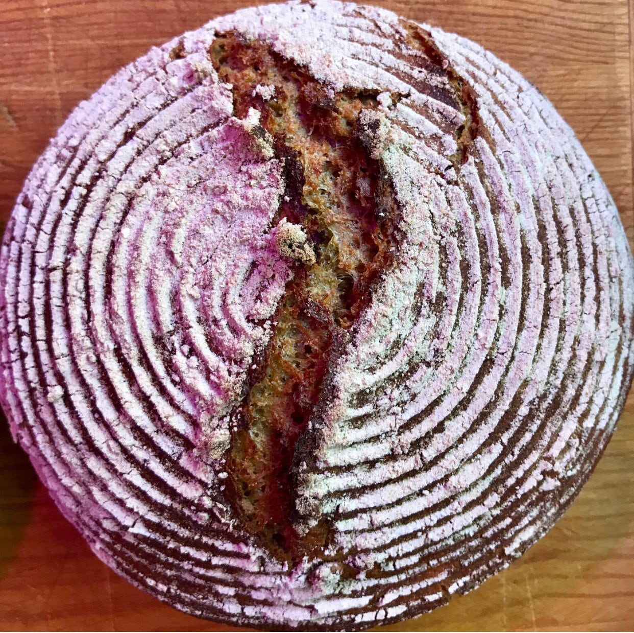 Dark Rye Sourdough Starter Yeast; Family Heirloom - Etsy