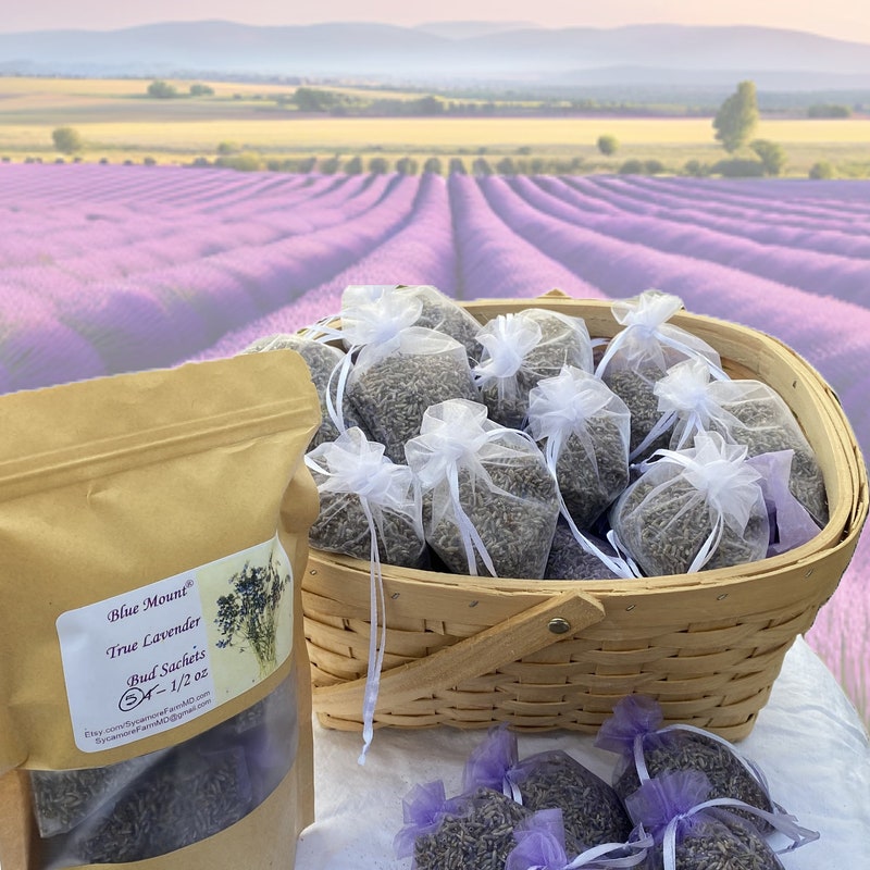 Lavender Wardrobe Scent - Etsy