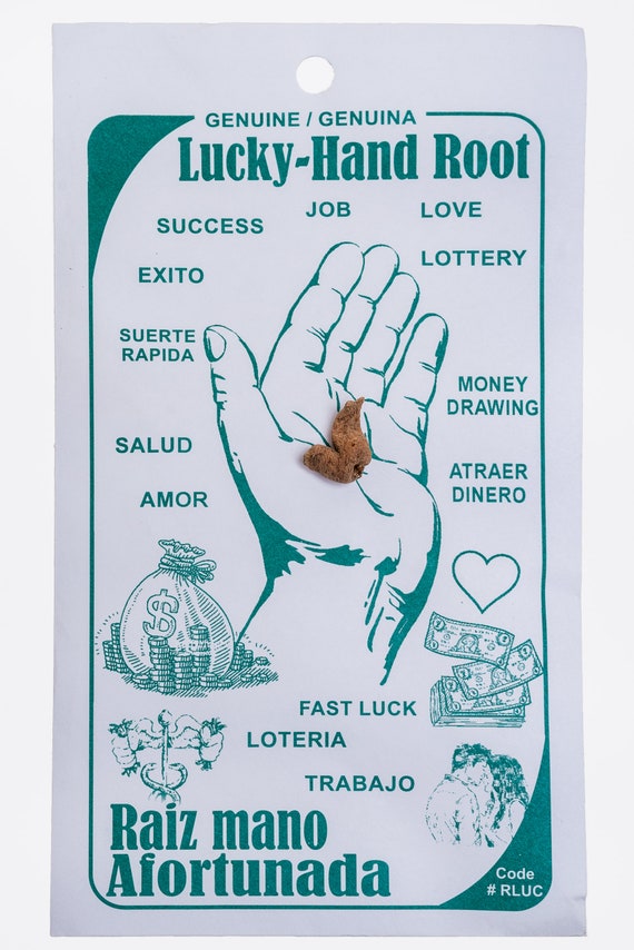 Lucky Hand Root Limited Stock - Etsy