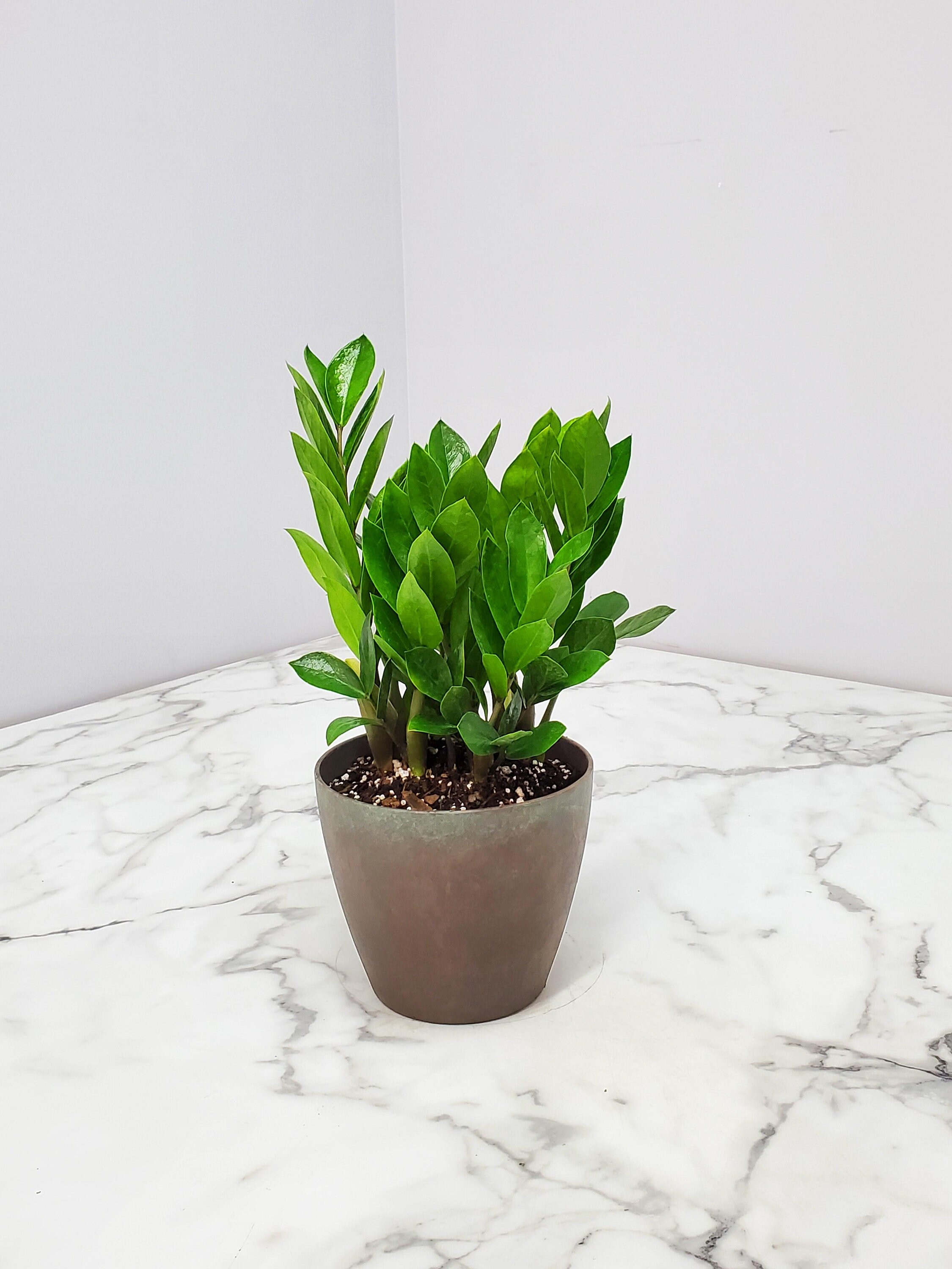 Weathered Copper Planter 8 Diameter Pot 7 Tall - Etsy